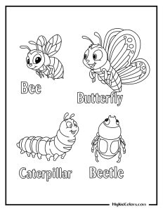 15 Adorable Insect Coloring Pages That Make Learning About Bugs Fun