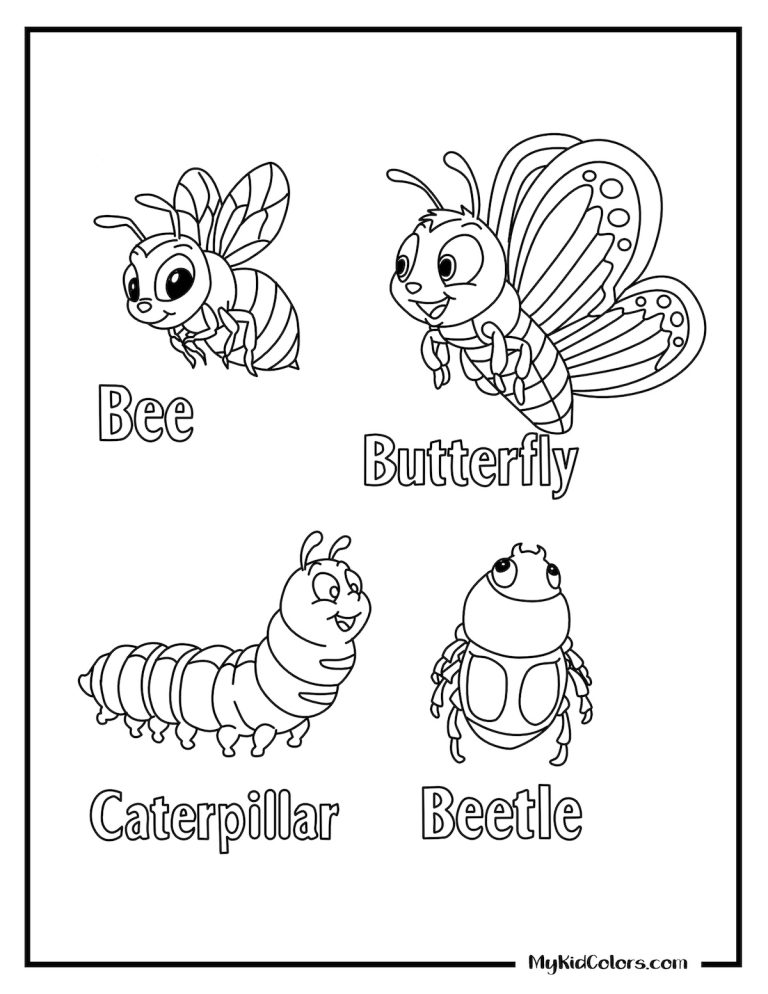 15 Adorable Insect Coloring Pages That Make Learning About Bugs Fun