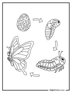 15 Adorable Insect Coloring Pages That Make Learning About Bugs Fun